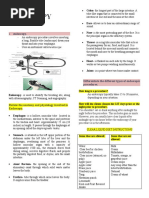 Final Upper Endoscopy Report Form | PDF | Stomach | Endoscopy