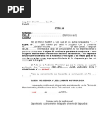 Formulario Mesa Centralizada Judicial | PDF