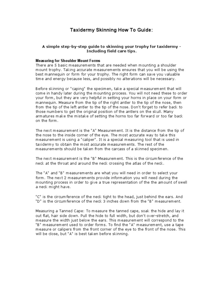 Taxidermy Skinning How To Guide | PDF | Taxidermy | Zoology