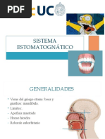 Prensa de Herofilo | PDF | Cerebro | Vena