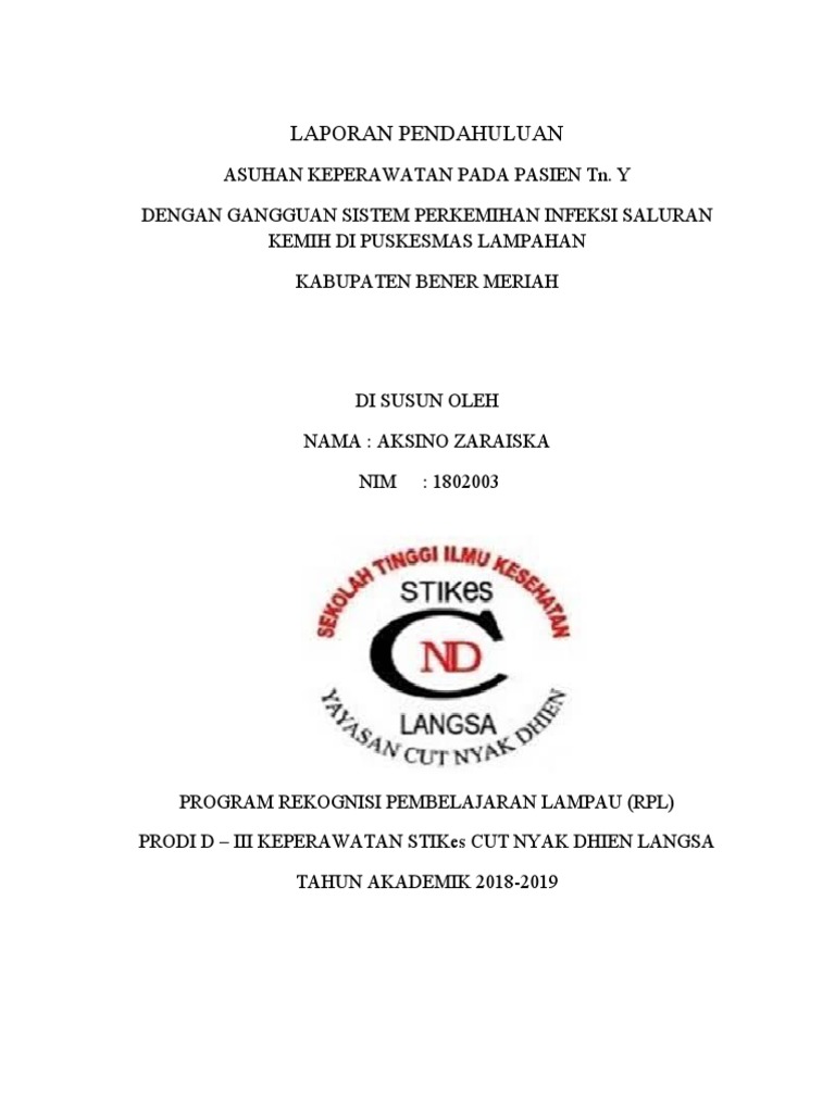 Asuhan Keperawatan ISK pada Tn. Y | PDF