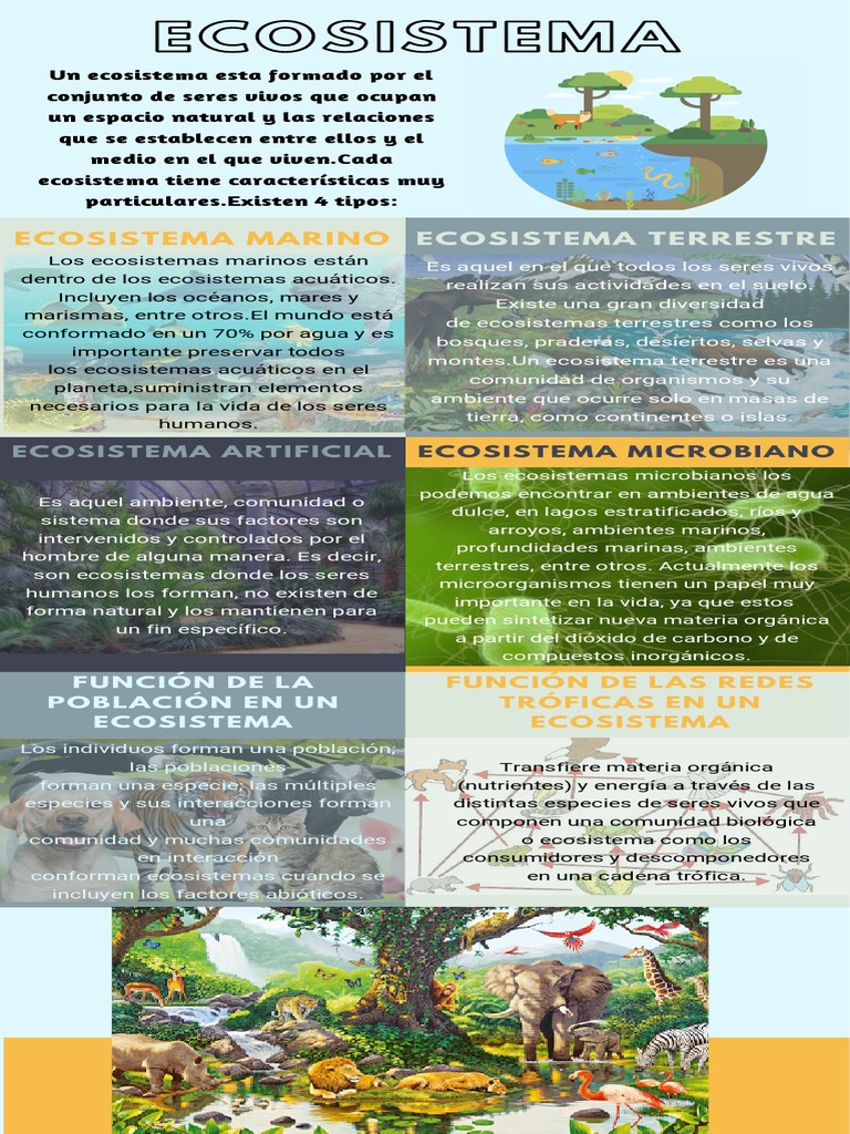 Ecosistema Marino | PDF | Ecosistema | Suelo