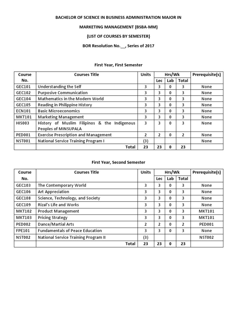 Bsba MM | PDF | Marketing | Digital Marketing