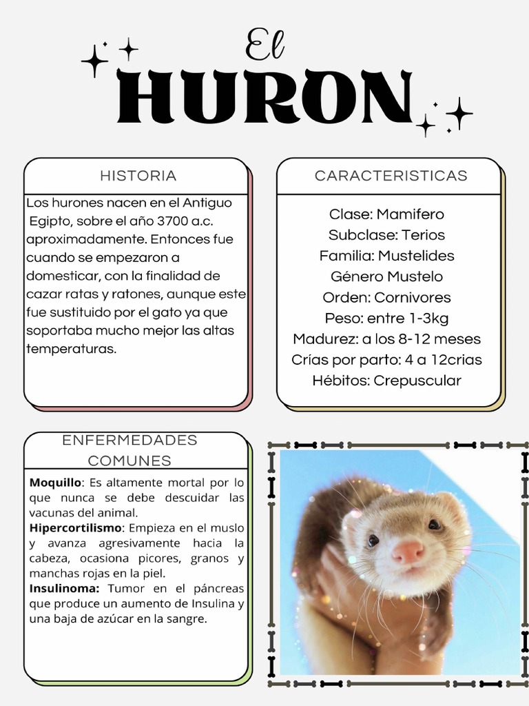 El Huron | PDF
