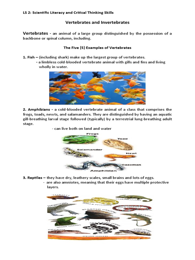 LS 2 Sci - and Cri - Thinking Skills | PDF | Invertebrate | Vertebrates