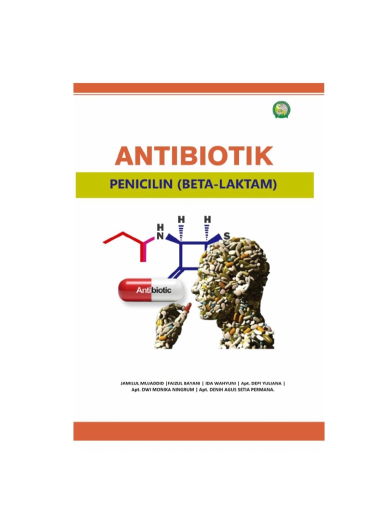 E-Book Antibiotik | PDF