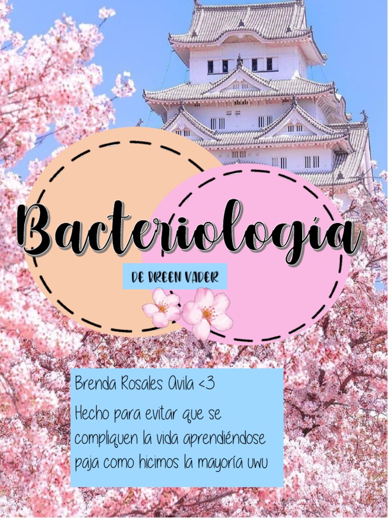 Bacter Breen Vader | PDF | Escherichia coli | Diarrea