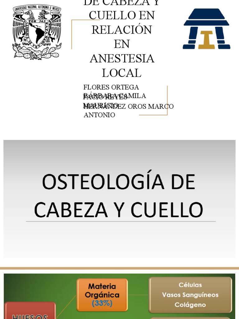 Anatomia De Cabeza Y Cuello En Relacion En Anestesia Local Pdf