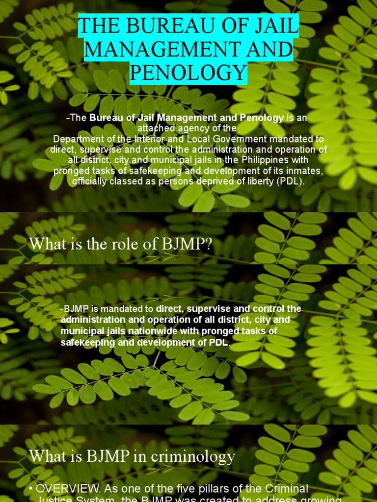 The Bureau of Jail Management and Penology | PDF | Prison | Remand ...