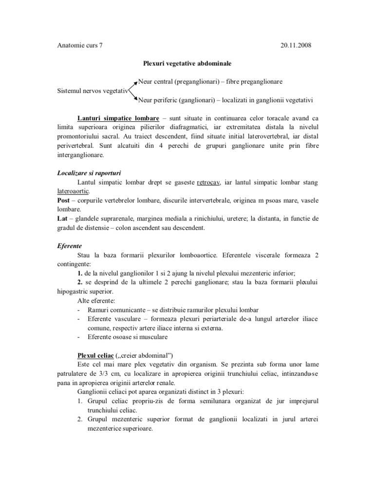 Anatomie Curs 7 | PDF