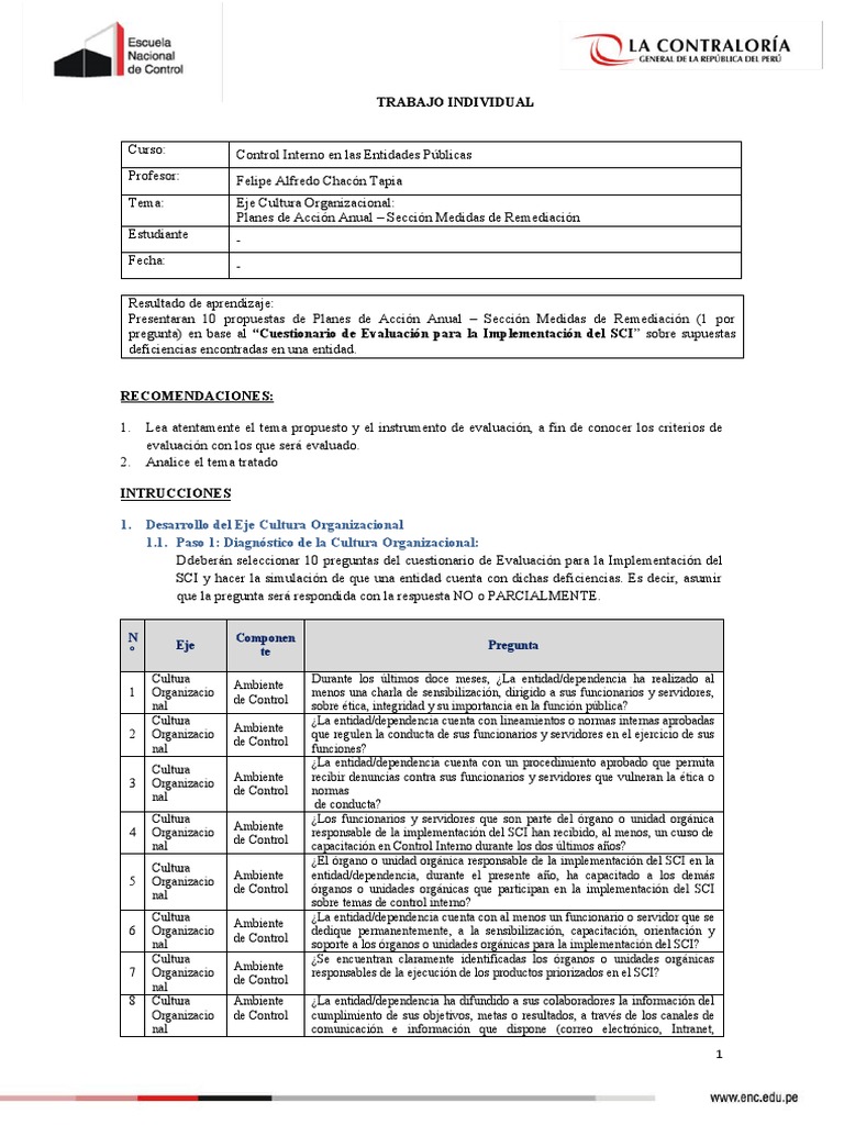 Trabajo Individual Final | PDF | Presupuesto | Evaluación