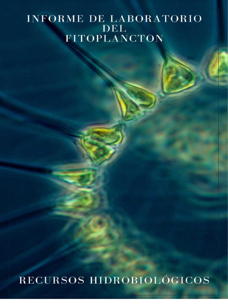 Lab 01 Fito | PDF | Fitoplancton | Organismos
