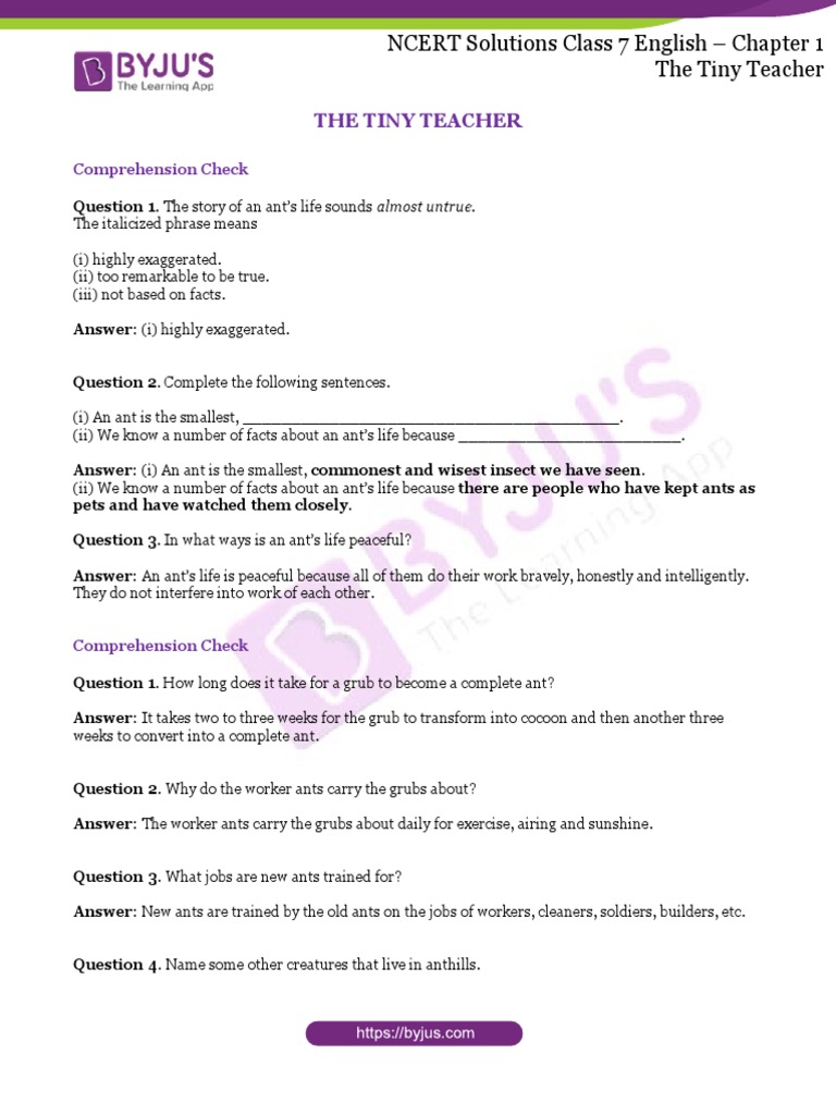 NCERT Solutions Class 7 English Supplementary Chapter 1 the Tiny ...