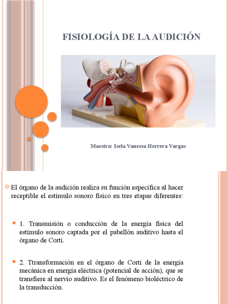 Fisiología del Oído y Audición Infantil | PDF | Sonido | Oído