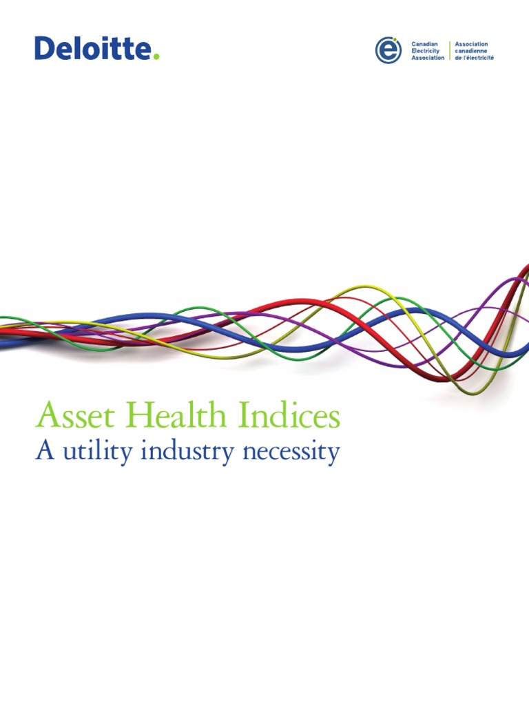 Asset Health | PDF | Analytics | Public Utility