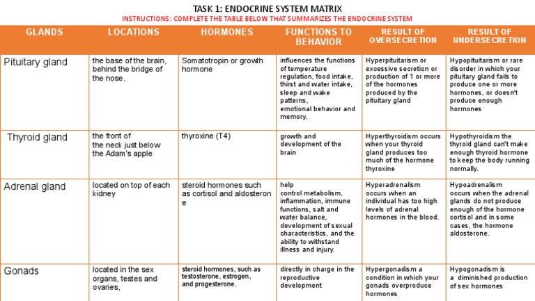 Endocrine System Matrix | PDF | Hormone | Endocrine System