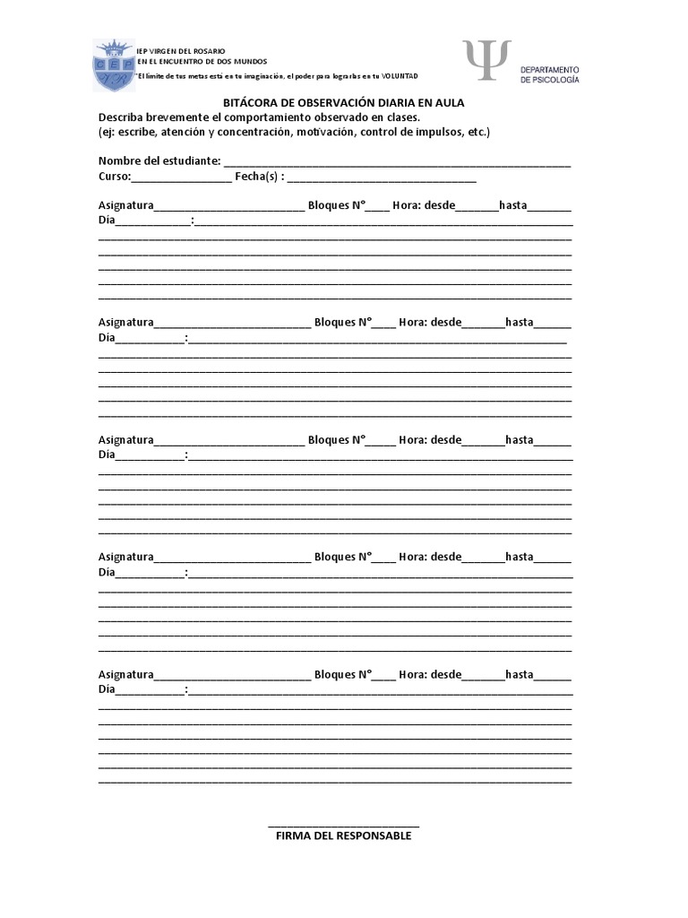Bitácora de Observación Diaria en Aula | PDF