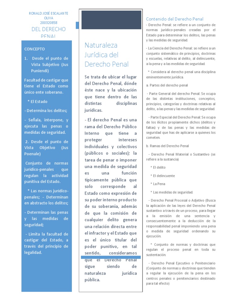 Infografía Derecho Penal | PDF | Derecho penal | Castigos