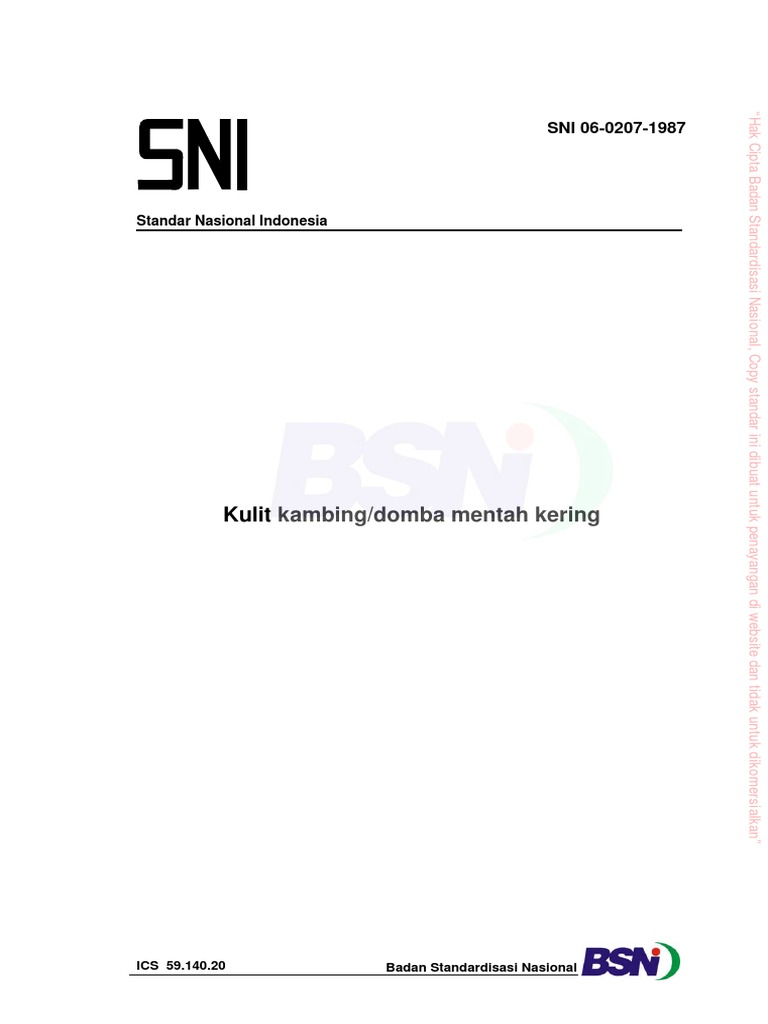 Sni 06 - 0207 - 1987 | PDF