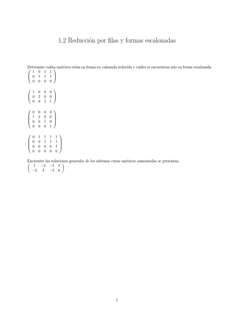 Matrices Escalonadas Reducidas 10x10 | PDF