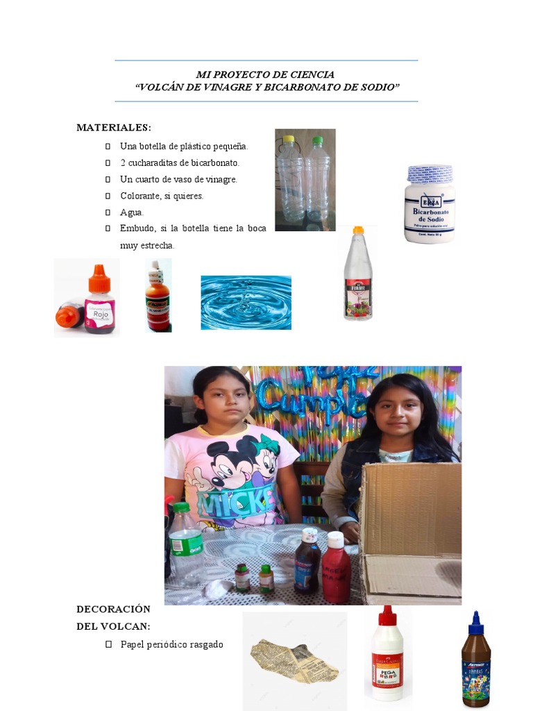 Mi Proyecto de Ciencia | PDF