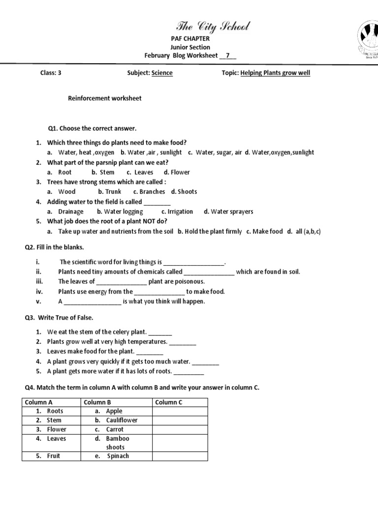 Science Worksheet 7 Class 3 | PDF | Plants | Root