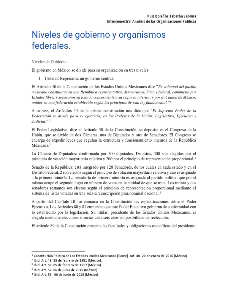 Niveles de Gobierno y Organismos Federales | PDF | México | Gobierno local