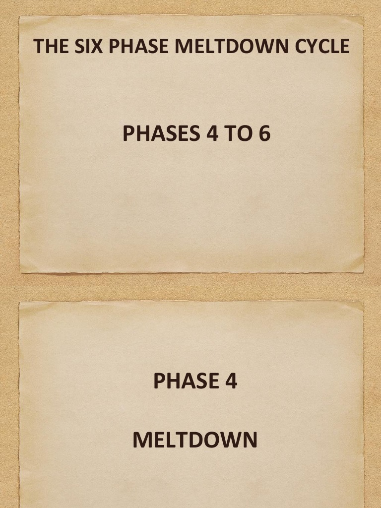 Managing The Cycle of Meltdowns - Session 3 - FINAL 3 | PDF ...