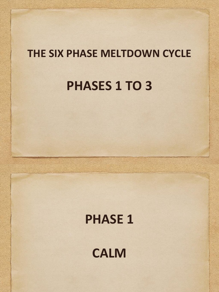 Understanding the Meltdown Cycle | PDF | Perception | Temperament