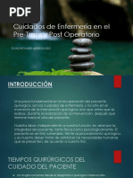 Cuidados de Enfermeria Pre, Trans y Post Operatorios. | PDF | Medicina CLINICA | Especialidades ...