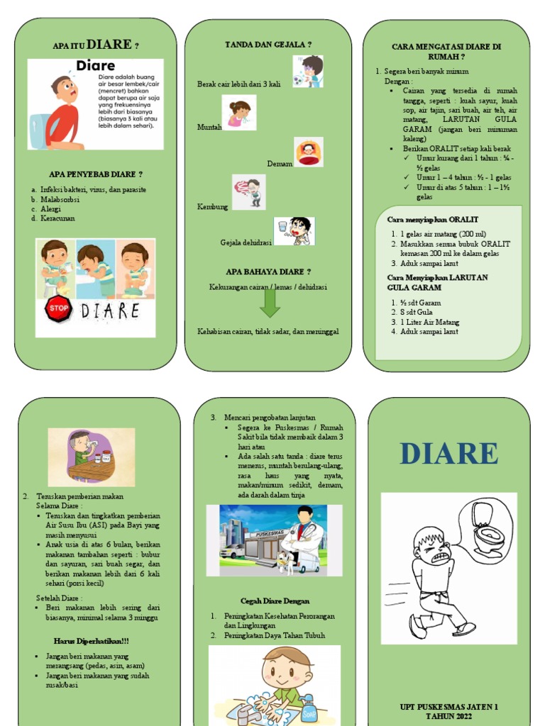 Leaflet Diare | PDF
