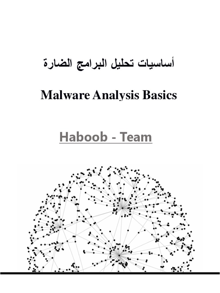 Basic Malware Analysis | Pdf