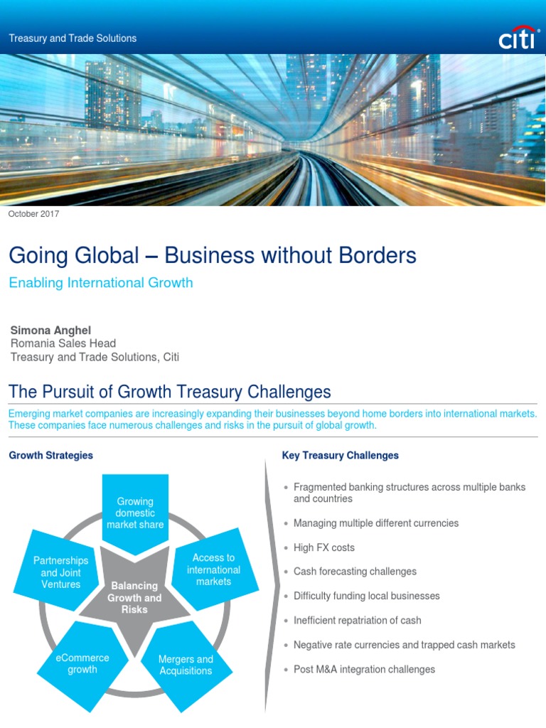 Citi Bank CM - Cross - Border - Solutions | PDF | Enterprise Resource ...