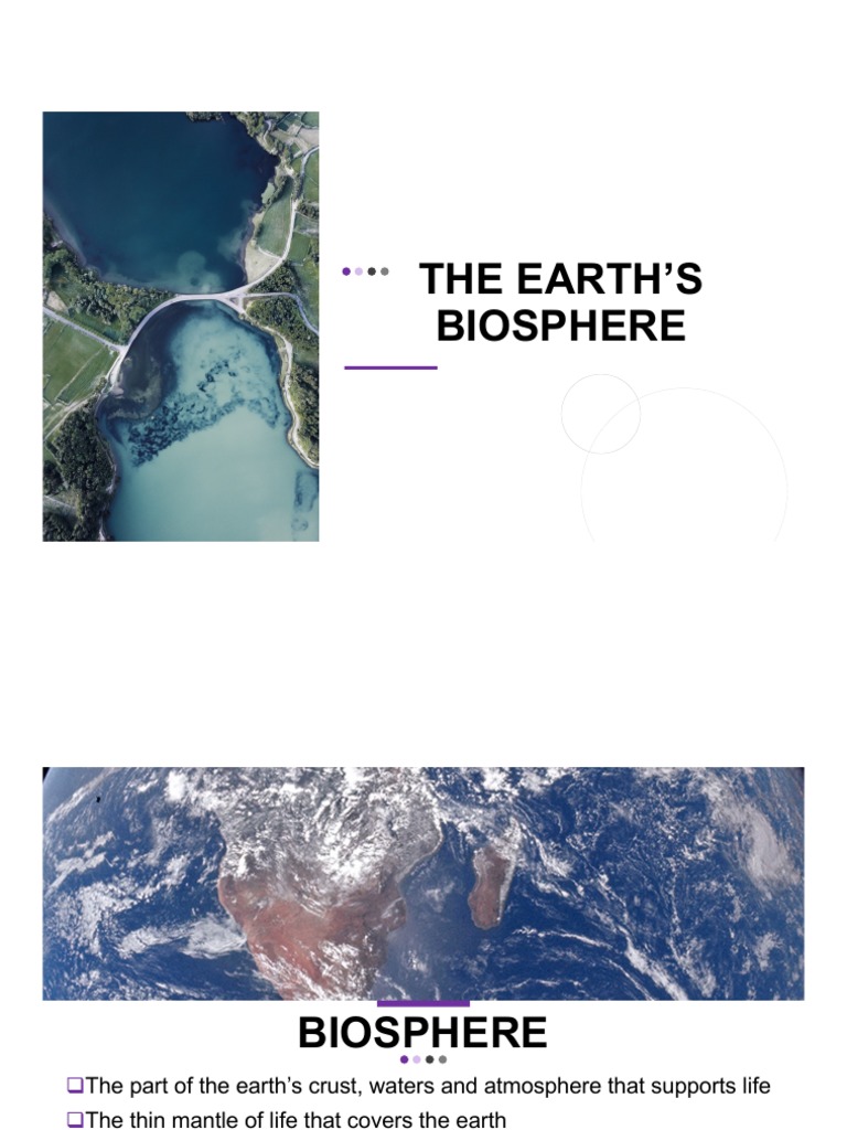 Scie 102 Envi - Sci | PDF