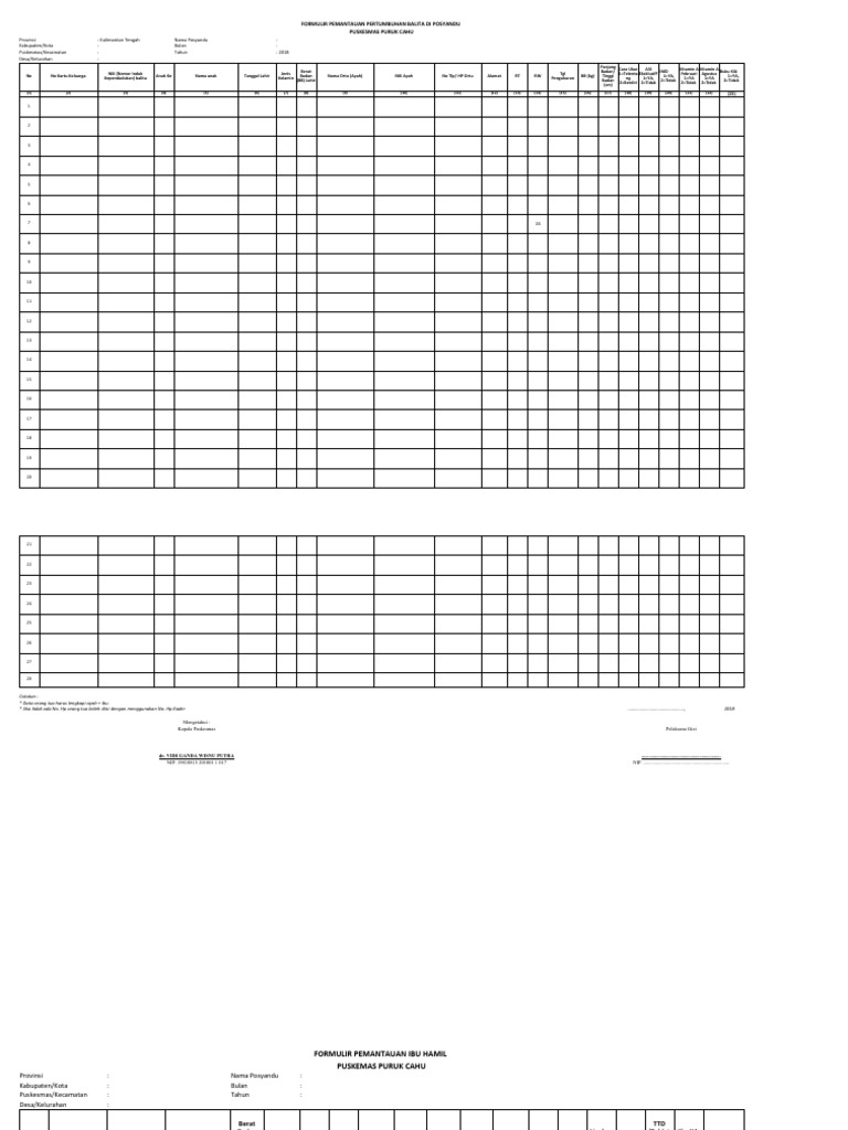 FORMAT ePPGBM 2019 POSYANDU | PDF