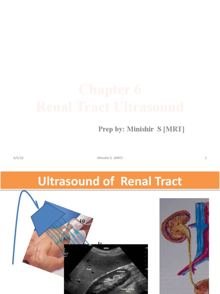 Renal Ultrasound | PDF | Kidney | Abdomen