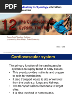 Global Surgical Package Overview | PDF | Surgery | Medical Equipment