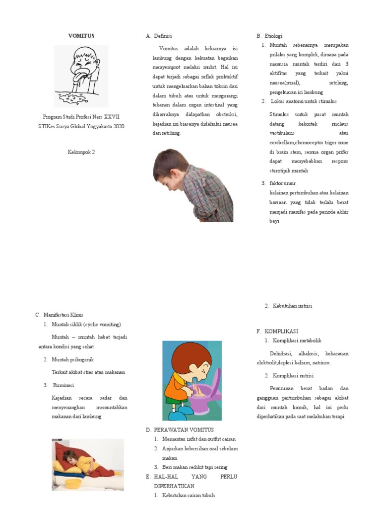 Leaflet Vomitus | PDF