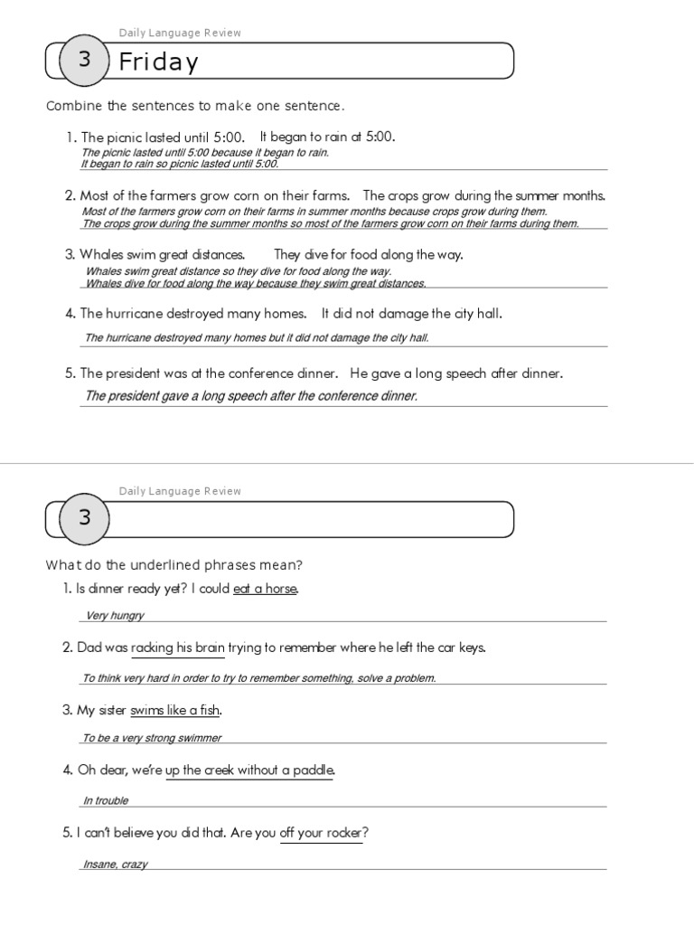 Daily Language Review Exercises | PDF
