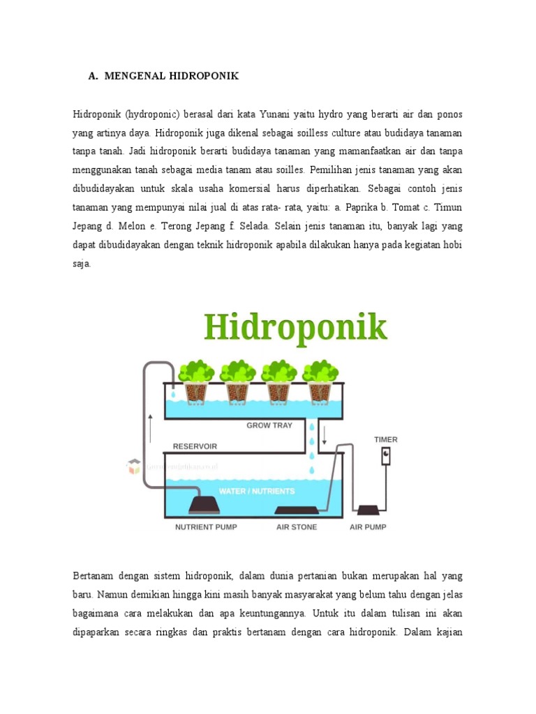 Proposal Hidroponik | PDF