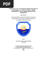 Ejemplo de CV en Tetun 2024 | PDF | Indonesia | Idiomas de asia