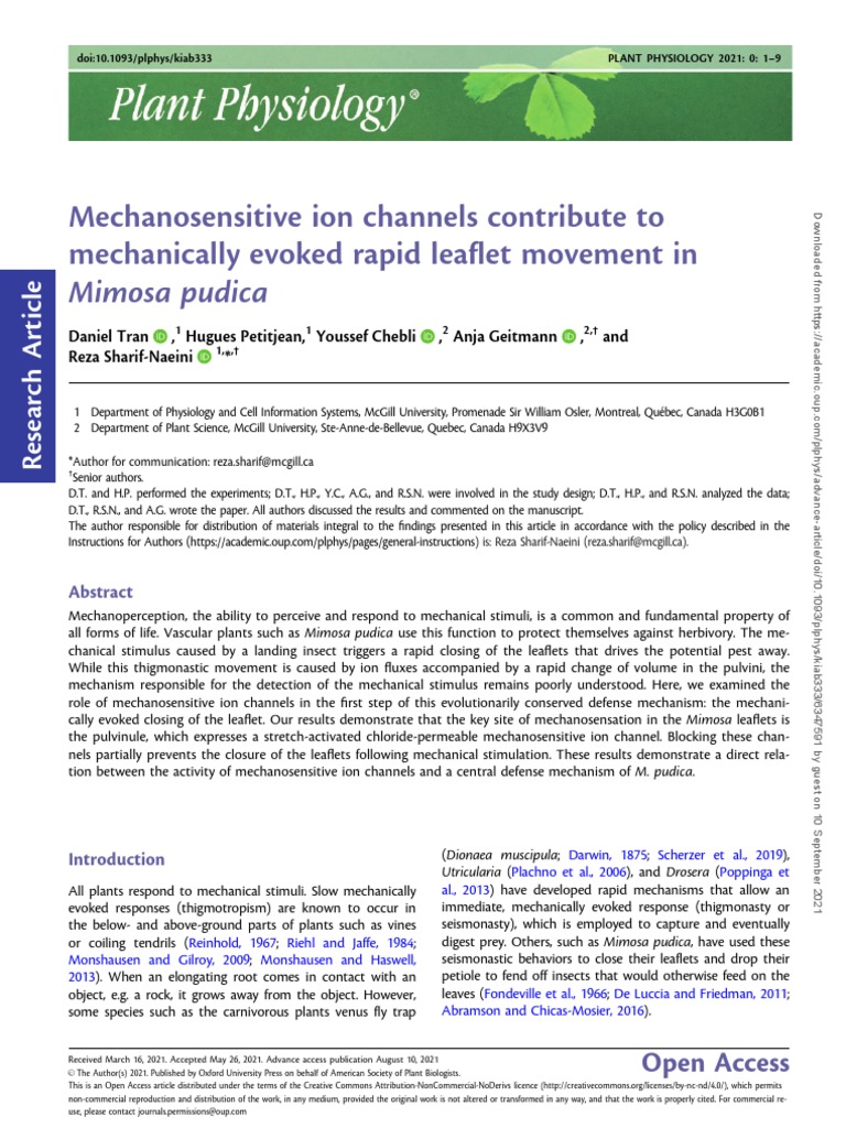 Mechanosensitive Ion Channels Contribute To Mechan | PDF | Stimulus ...