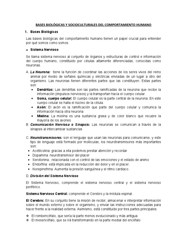 Bases del Comportamiento Humano | PDF | Neurona | Sistema nervioso