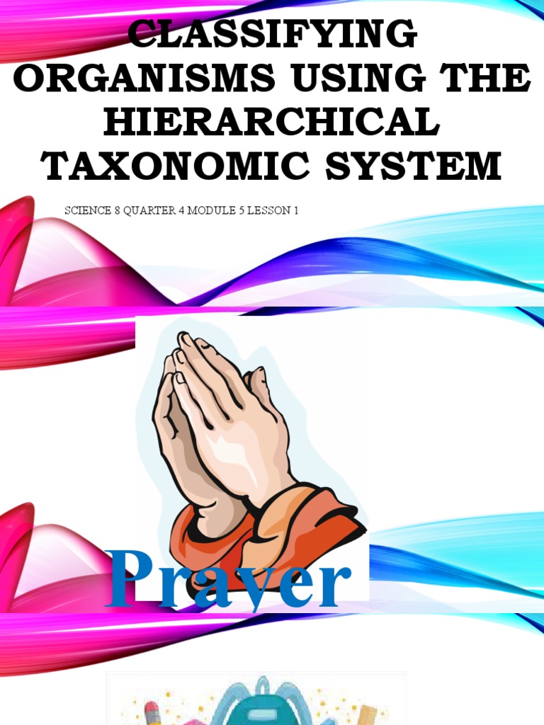 Classifying Organisms Using The HEIRARCHIAL Taxonomy Classification ...