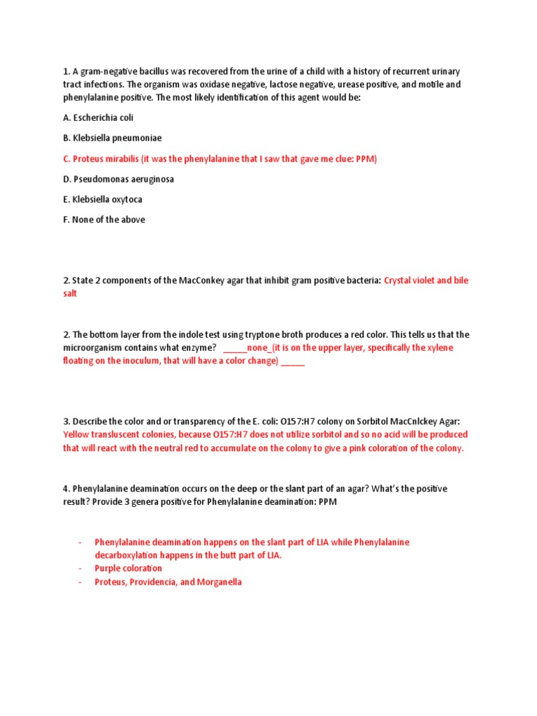 Enterobac Quiz Teacher's | PDF | Microbiology | Chemistry