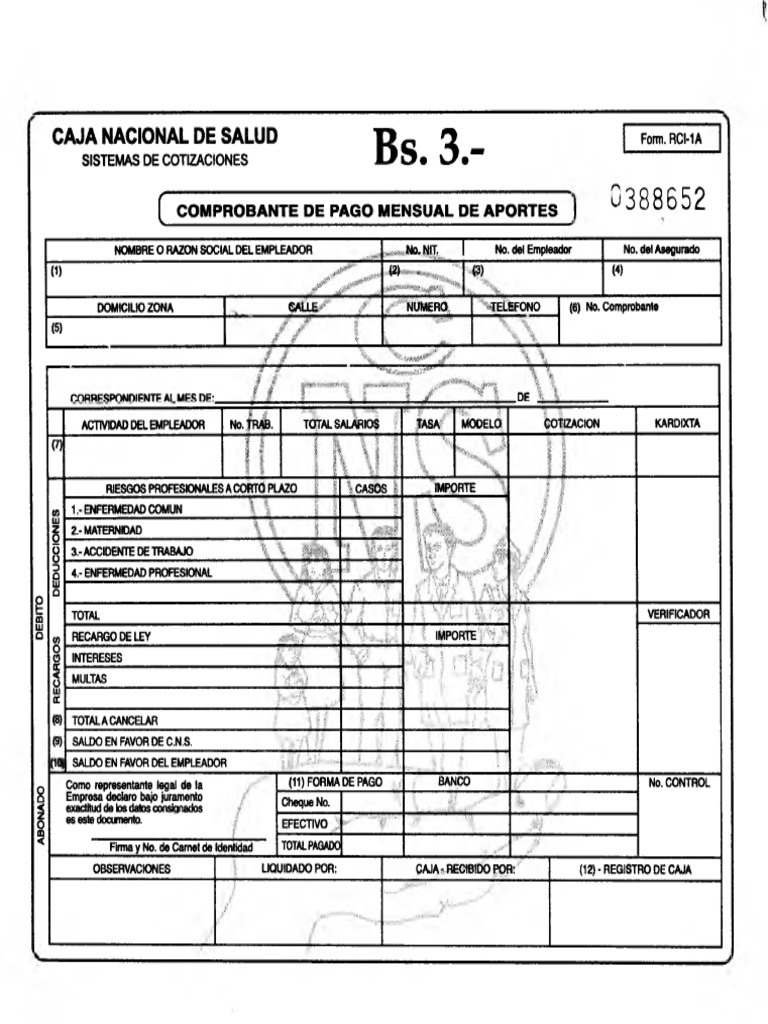 3 Formulario Rci-1a | Descargar gratis PDF | Economias