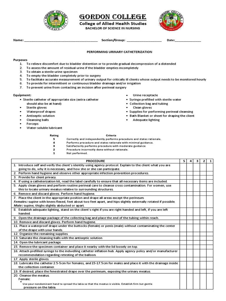 Checklist RLE IFC | PDF | Catheter | Medical Specialties