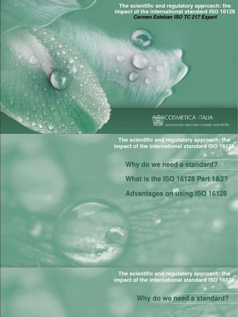 Carmen Esteban ISO 16128 CES Cosmoprof 2018 DEF | PDF | Cosmetics ...