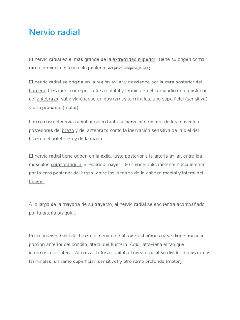 Nervio Radial - Documentos de Google | PDF | Sistema nervioso | Sistema ...