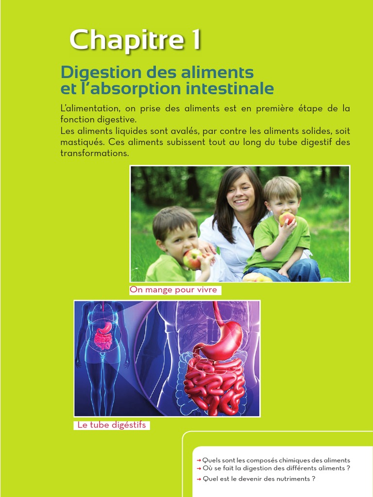 Digestion et absorption des aliments 3AC | PDF | Estomac | Appareil ...